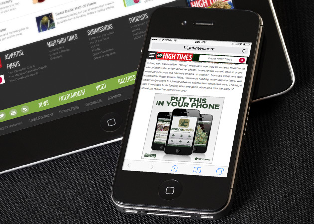 Static Display (Various) - eric p mullen